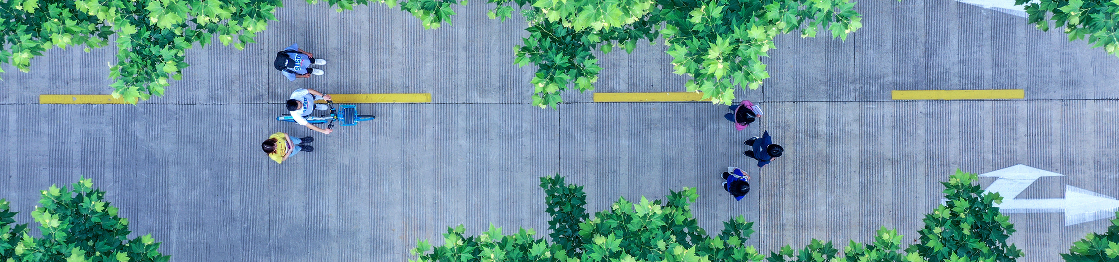 SISU | Shanghai International Studies University